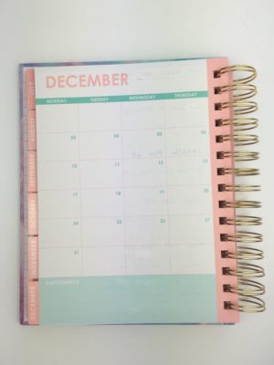 Typo Weekly Planner Review (including video flipthrough) – All About ...