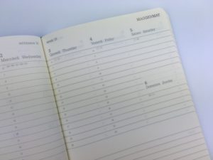 Ivory Collection Weekly Planner Review (Planner from Italy!)