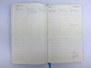 Ivory Collection Weekly Planner Review (Planner from Italy!)