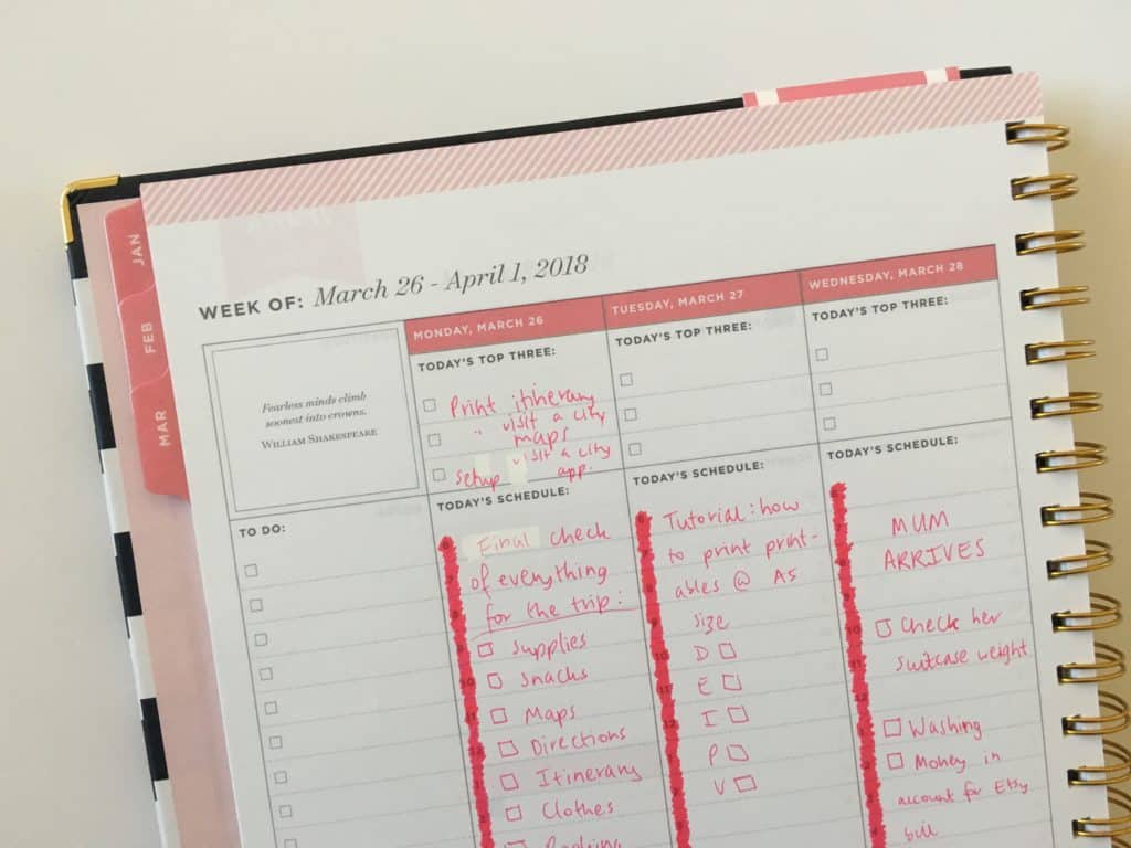 Using the Day Designer for Blue Sky Vertical Hourly Weekly Planner ...
