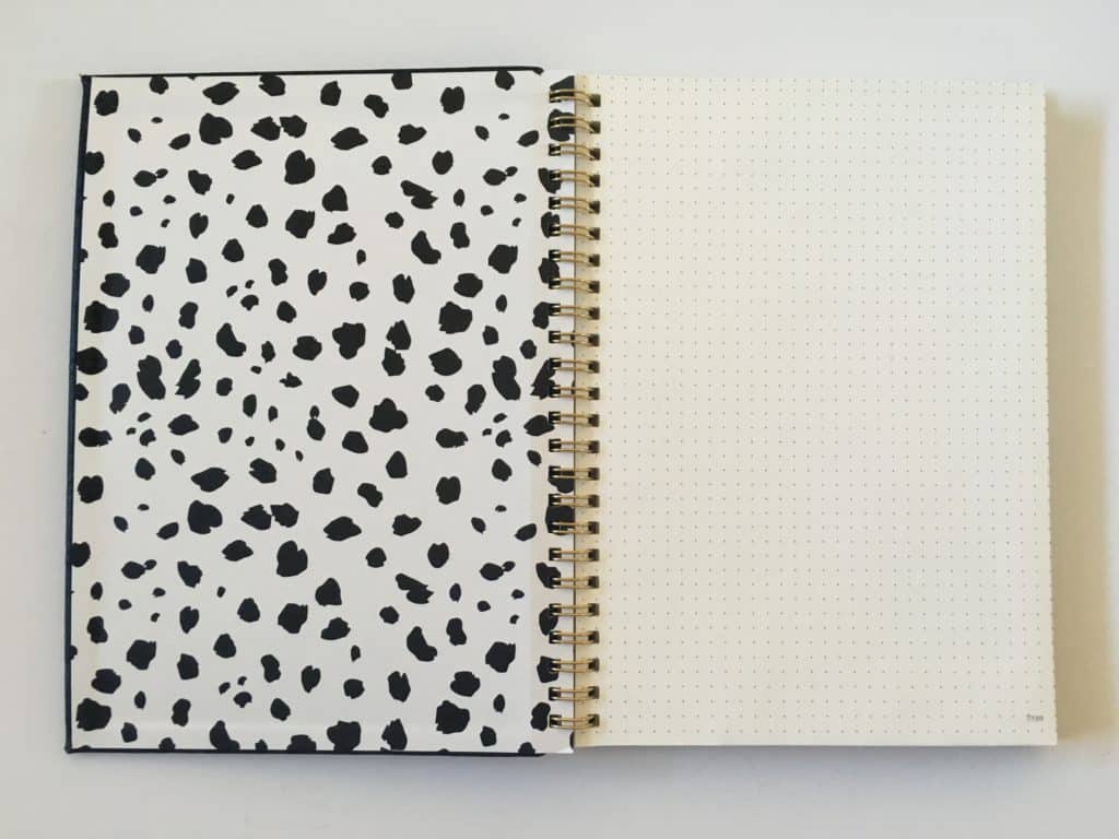 Typo Dot Grid Notebooks for Bullet Journaling Review (Pros & Cons ...