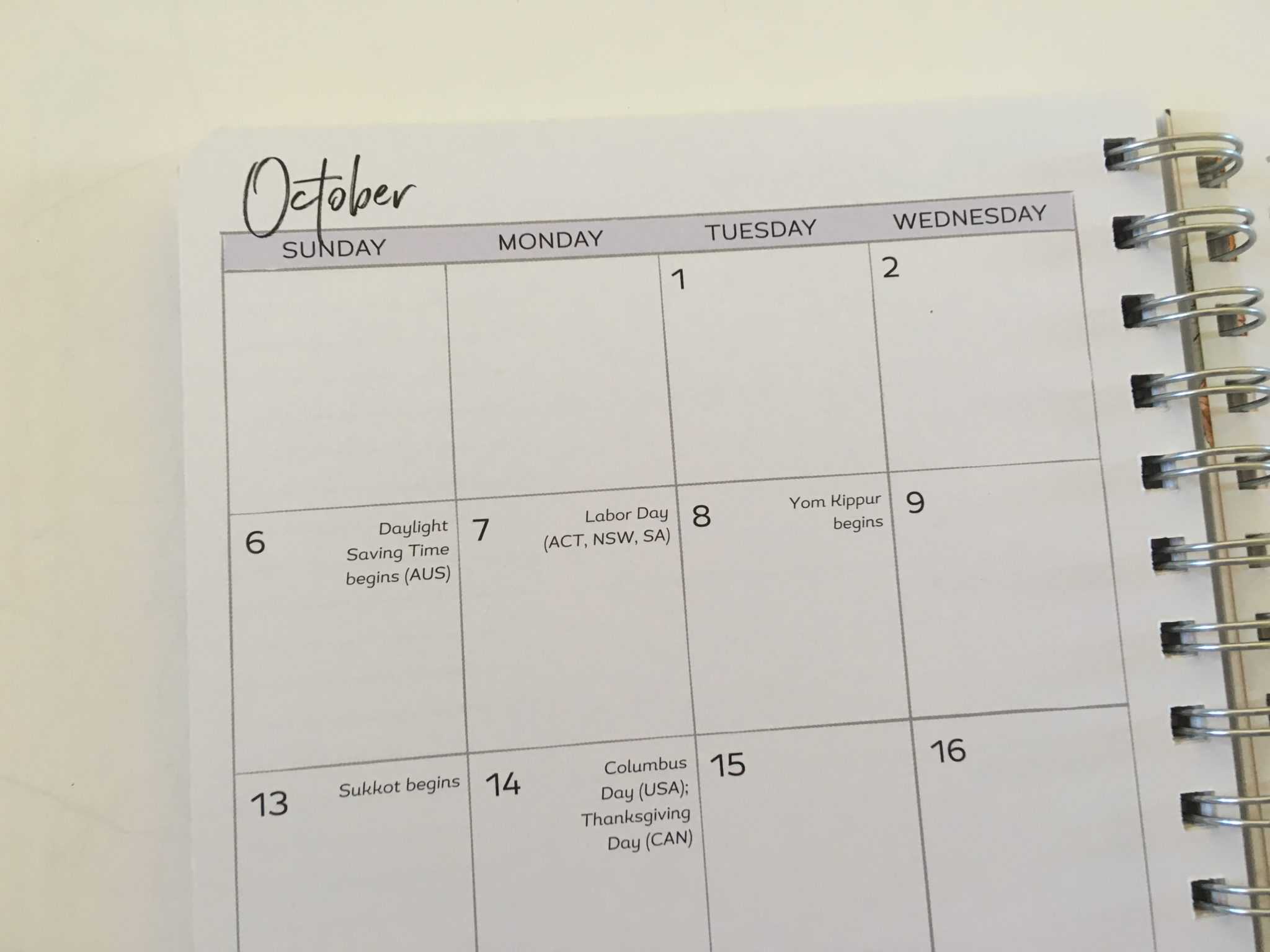 Amy Knapp’s The Very Busy Planner Review (Pros, Cons & a Video ...