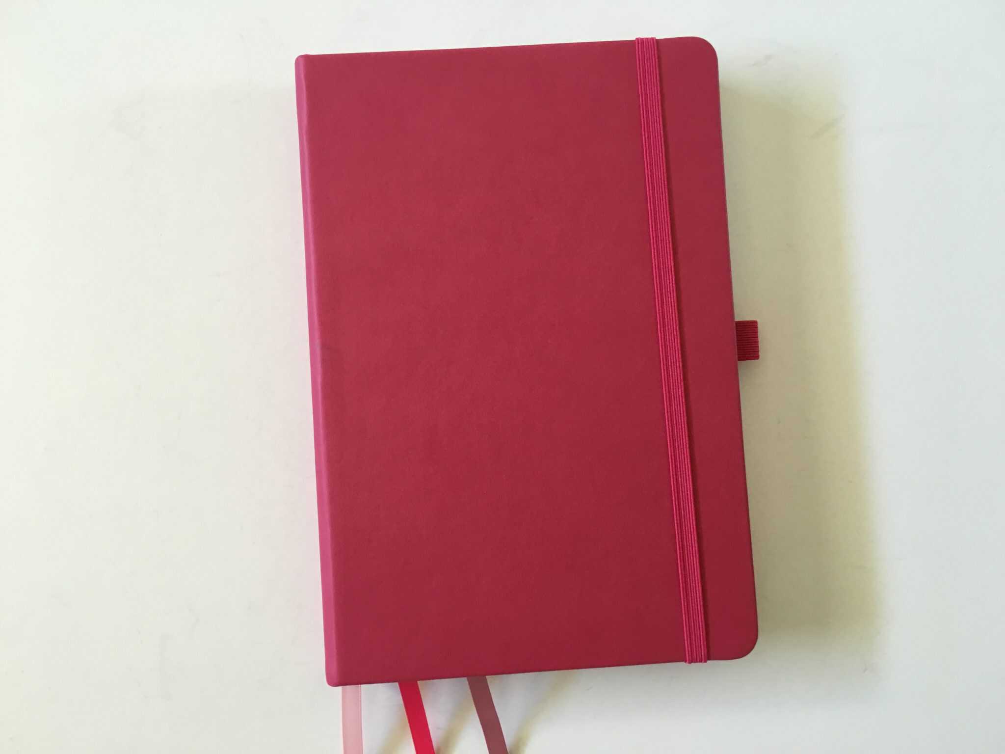 Vivid Scribbles Dot Journal Notebook Review (140 GSM Bleedproof Paper ...