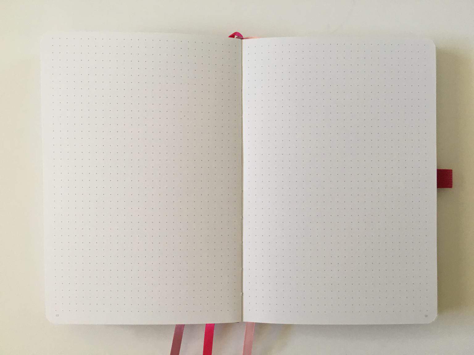 Vivid Scribbles Dot Journal Notebook Review (140 GSM Bleedproof Paper ...