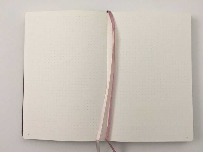 Jumping Fox Designs Dot Grid Notebook Review (Pros, Cons & Pen Testing ...