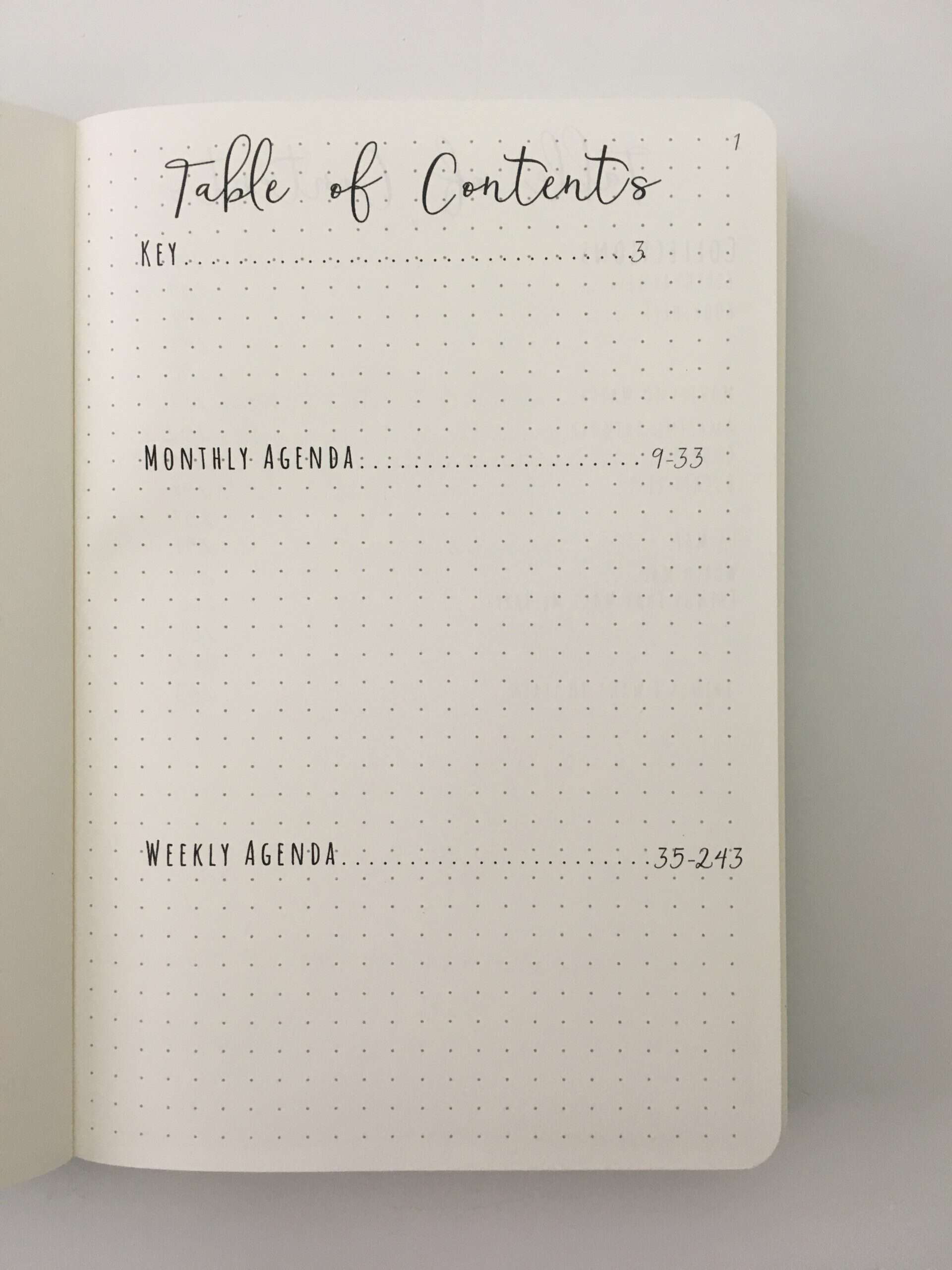 Cloudberry Journal Review (Hybrid bullet journal notebook and planner ...