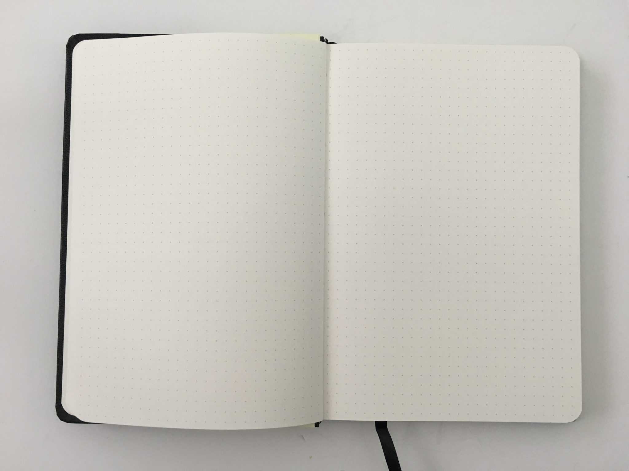 Peter Pauper Press Essentials Dot Matrix Notebook Review (Including Pen ...