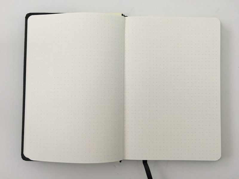 Peter Pauper Press Essentials Dot Matrix Notebook Review (Including Pen ...