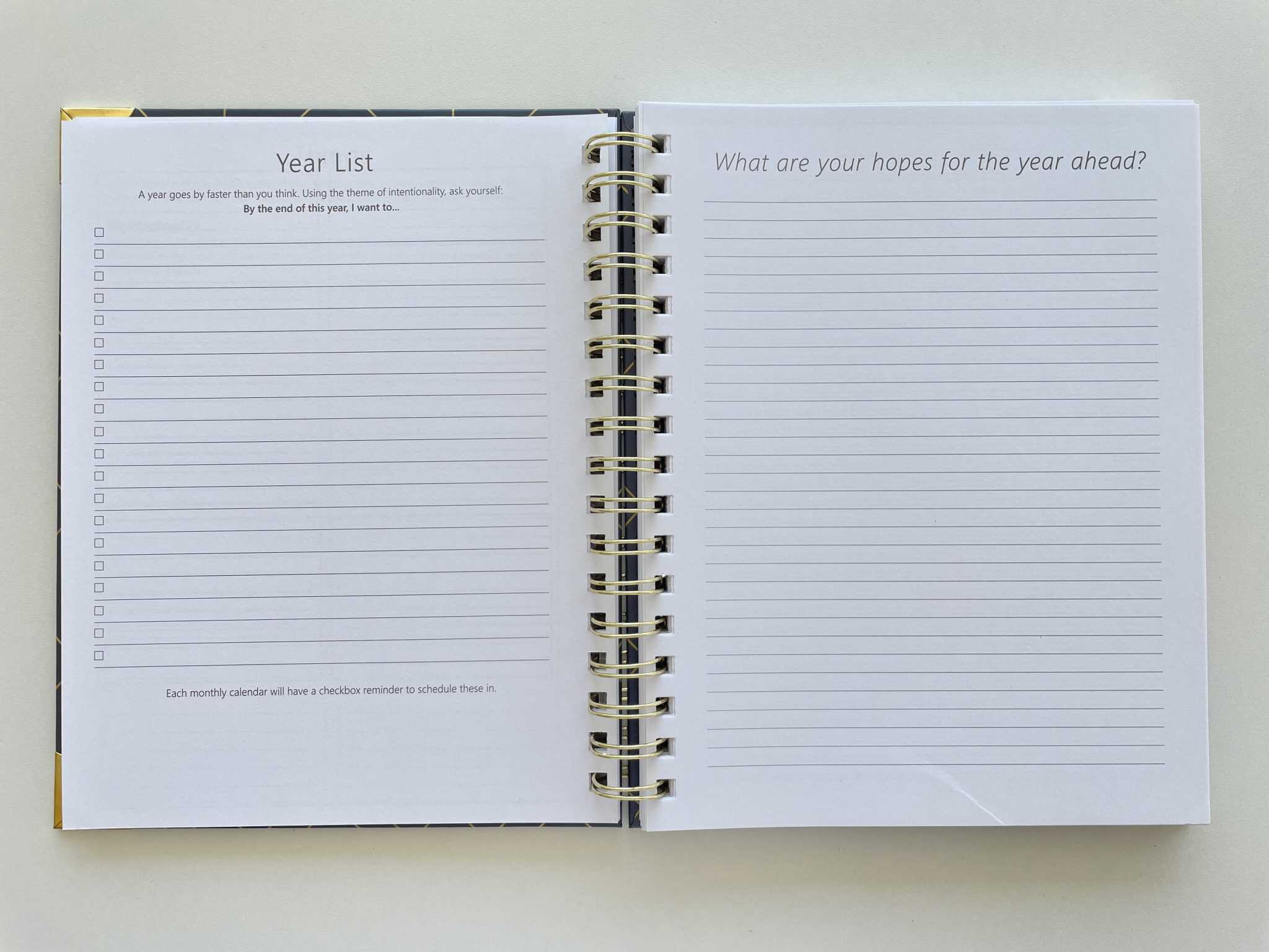Sprouted Planner Review (Dashboard Layout Weekly Planner) – All About ...