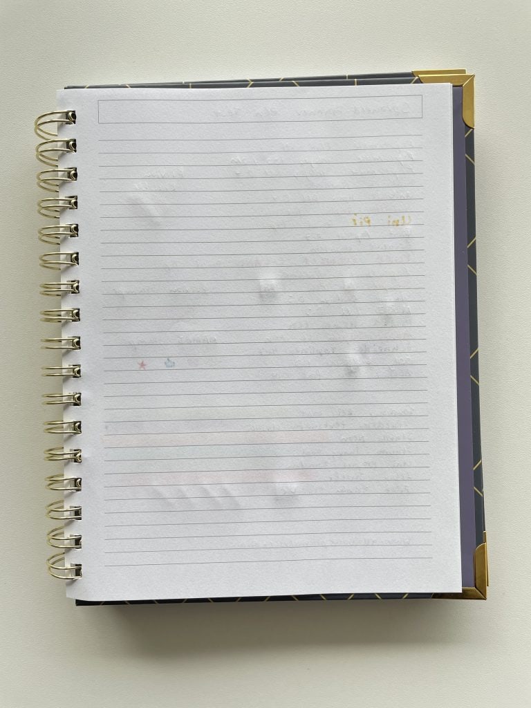 Sprouted Planner Review (Dashboard Layout Weekly Planner) – All About ...