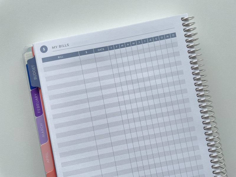 Plum Paper Budget Planner Review (and comparison with the budgeting add ...