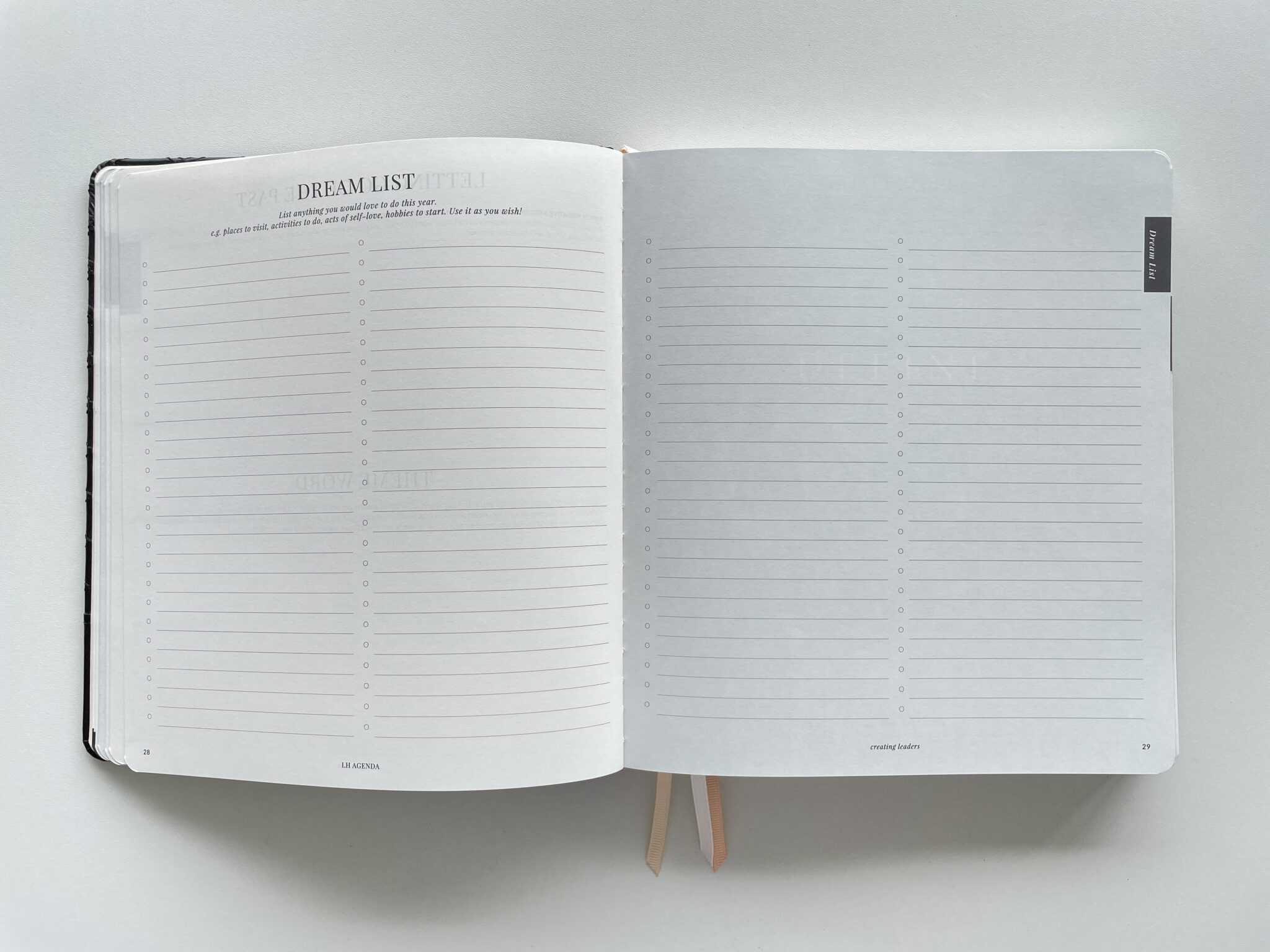 LH Agenda Planner Review (Goal Planner with horizontal plus notes ...