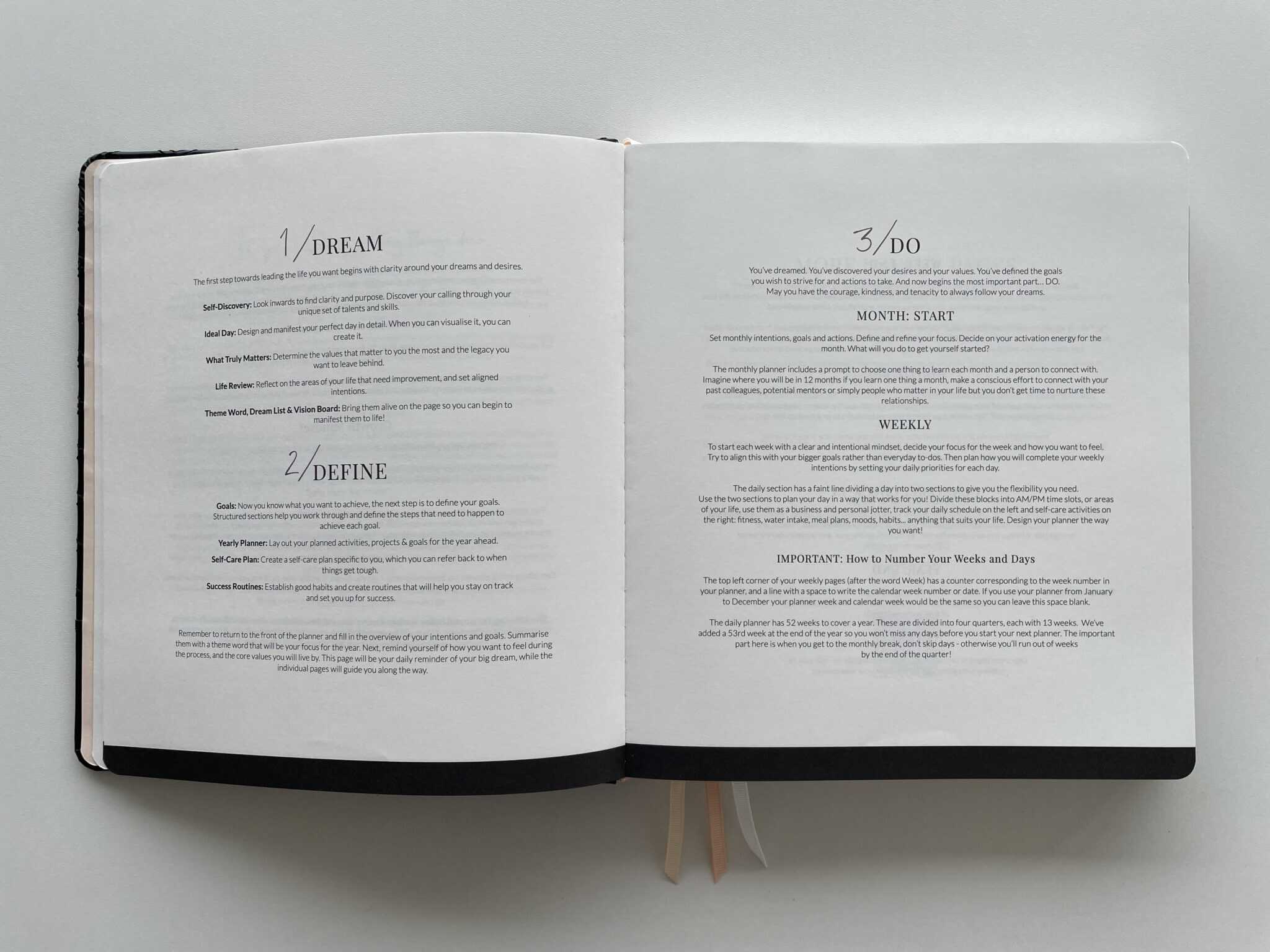 LH Agenda Planner Review (Goal Planner with horizontal plus notes ...