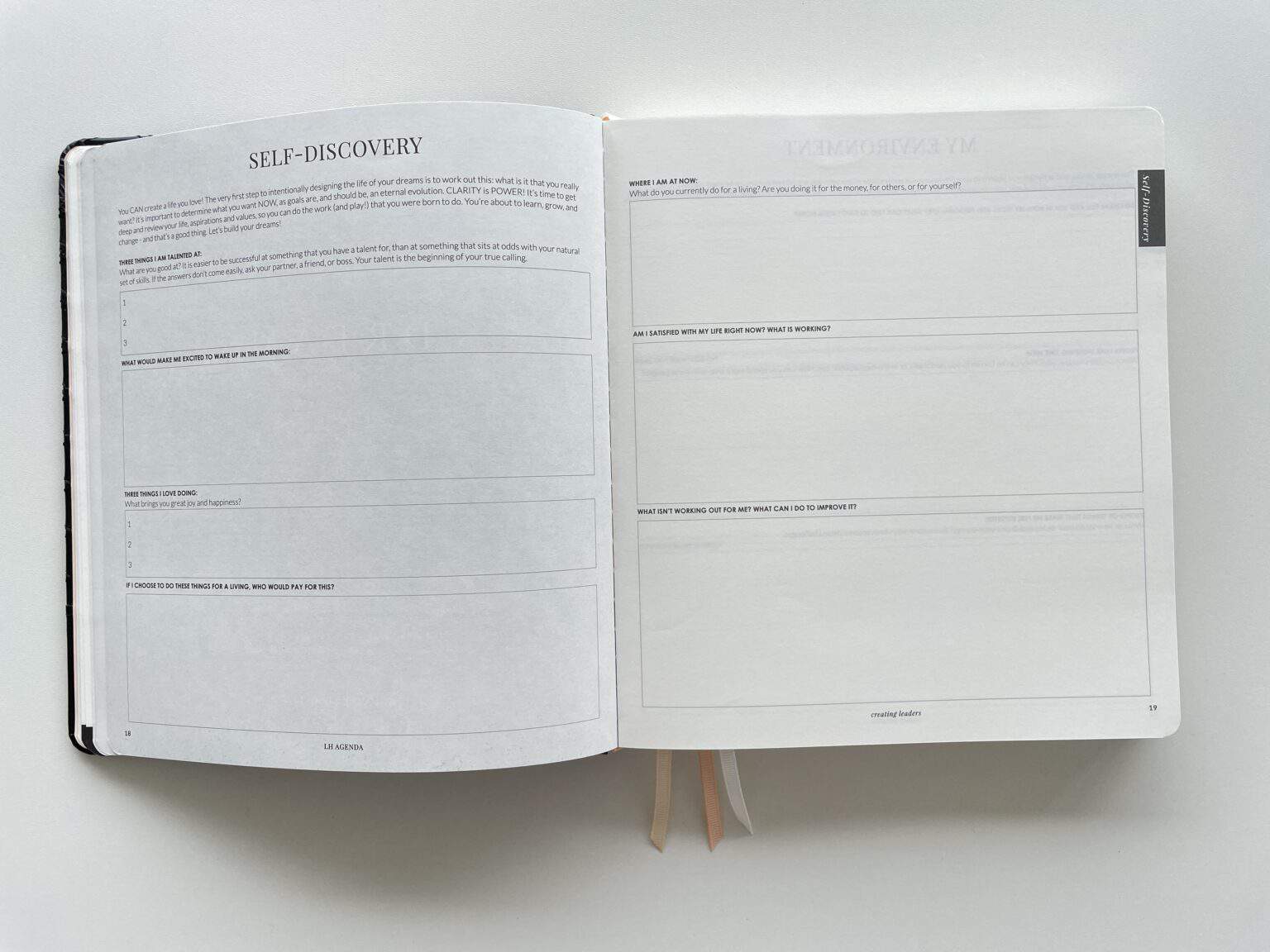 LH Agenda Planner Review (Goal Planner with horizontal plus notes ...