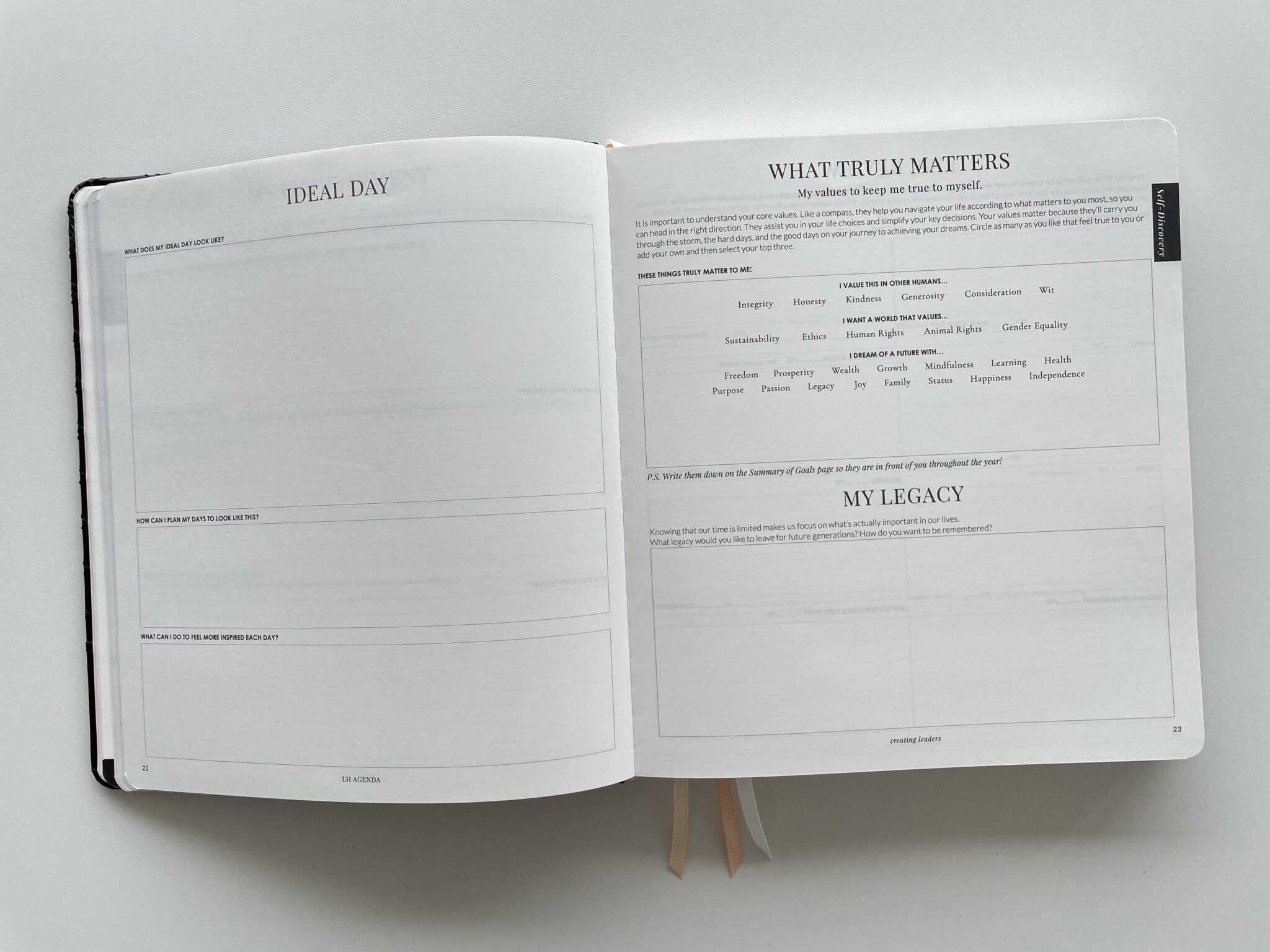 LH Agenda Planner Review (Goal Planner with horizontal plus notes ...