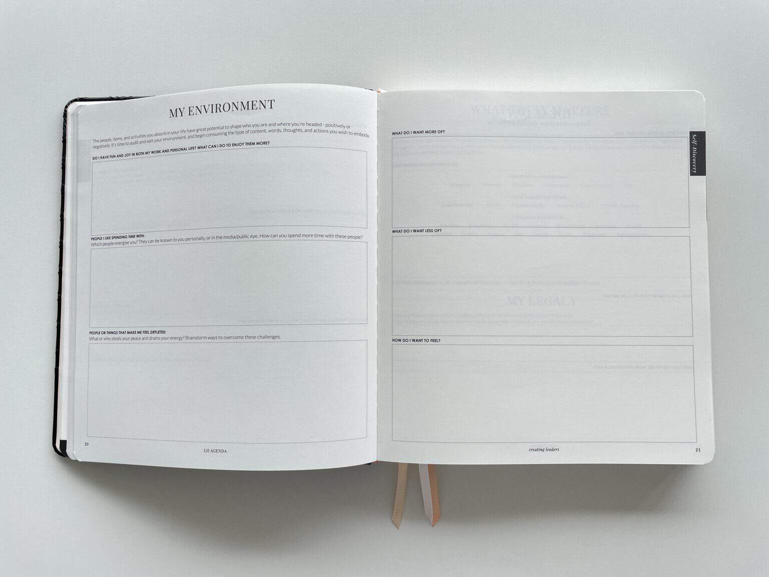 LH Agenda Planner Review (Goal Planner with horizontal plus notes ...