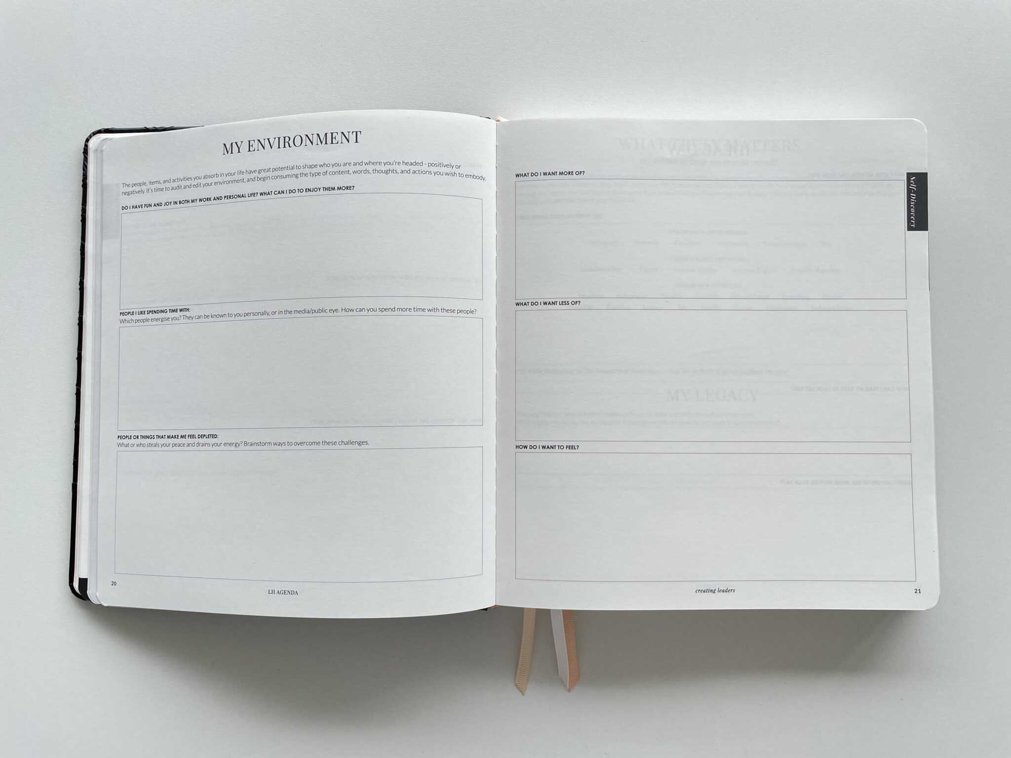 LH Agenda Planner Review (Goal Planner with horizontal plus notes ...