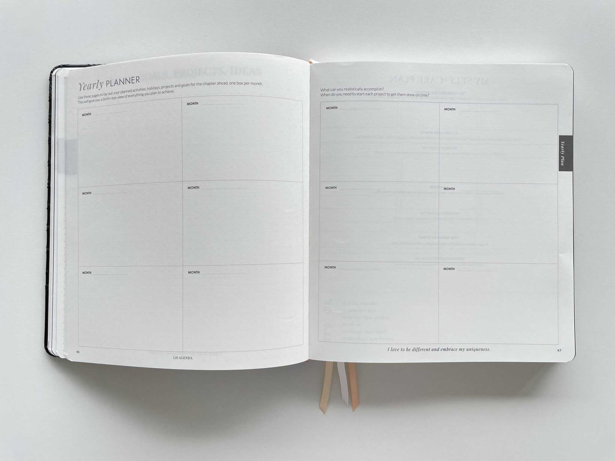 LH Agenda Planner Review (Goal Planner with horizontal plus notes ...